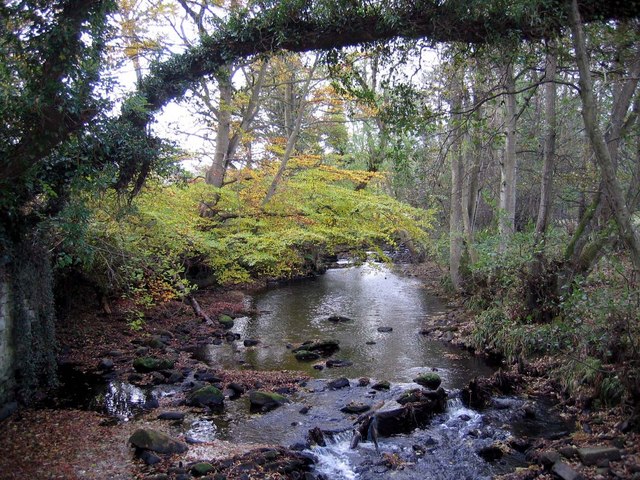 June 2017…Devil Water and more… | Enjoying Cornwall…